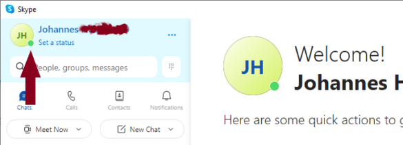 Online in Skype: Dauerhaft mit 2 Schritten! - Status Holder